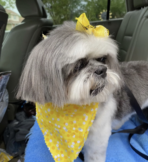 Read All Superfood Complete Reviews | Badlands Ranch